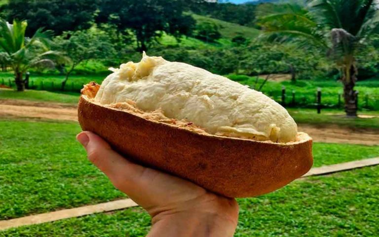 Crean chocolates derivados de "copoazú" a la conquista del mercado ...